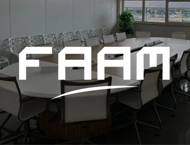 FAAM - Celle, Moduli e Batterie a litio