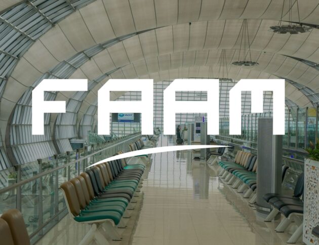 FAAM - Celle, Moduli e Batterie a litio