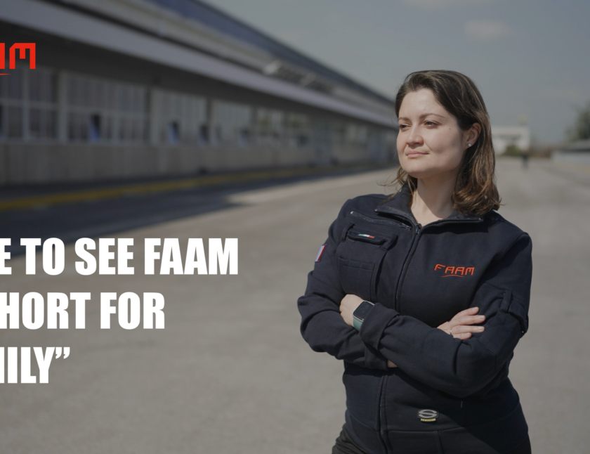 FAAM - Lithium Cells, Modules and Batteries